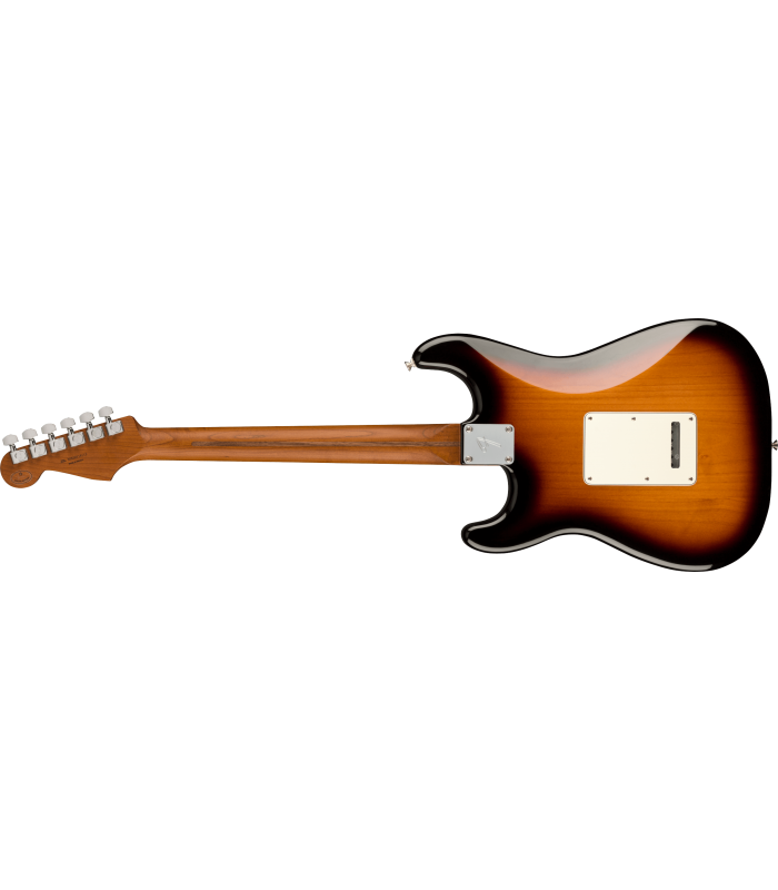 Fender - Limited Edition Player Stratocaster, Roasted Maple Fingerboard ...